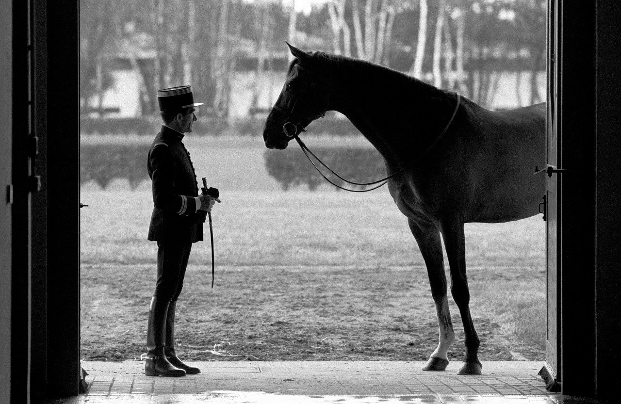 Bakgrundsbilder : vit, svart, vinter-, fotografi, frankrike ...