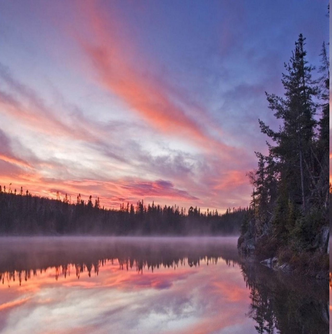 Wallpaper : 1274x1280 px, forest, mist, nature, water 1274x1280 ...