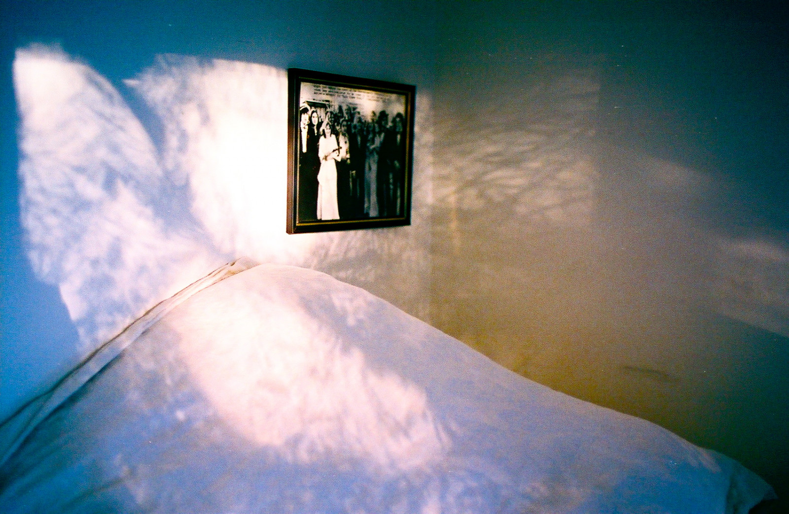 Wallpaper : morning, trees, bed, shadows, ethereal 1700x1110 ...