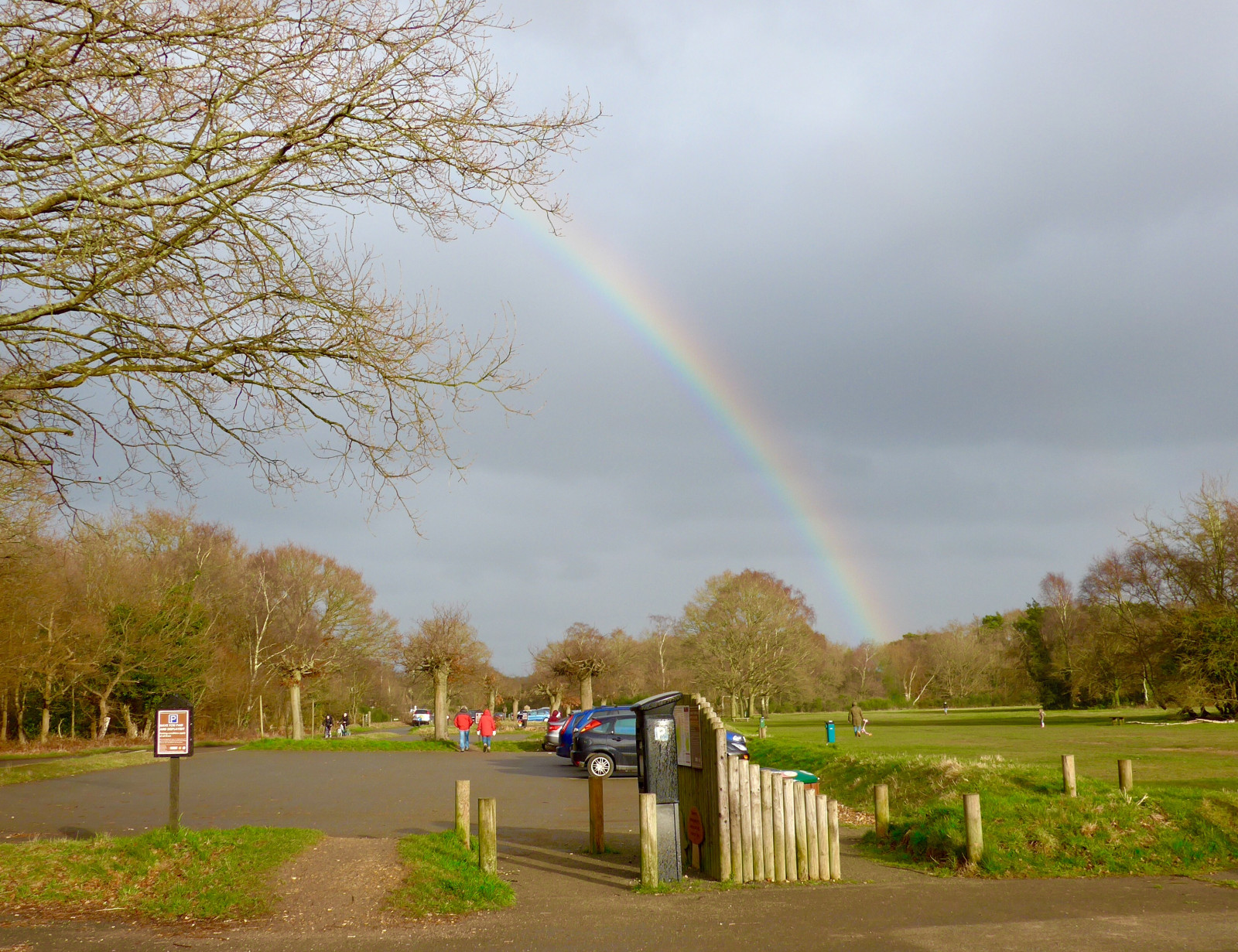 Wallpaper : rainbow, sky, cloud, nature, tree, meteorological ...