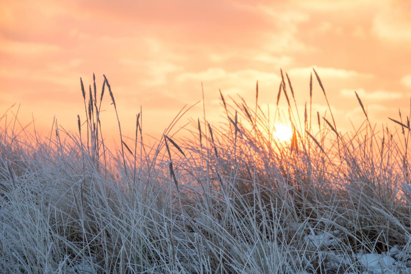 Bakgrundsbilder : solljus, solnedgång, natur, himmel, vinter-, fält ...