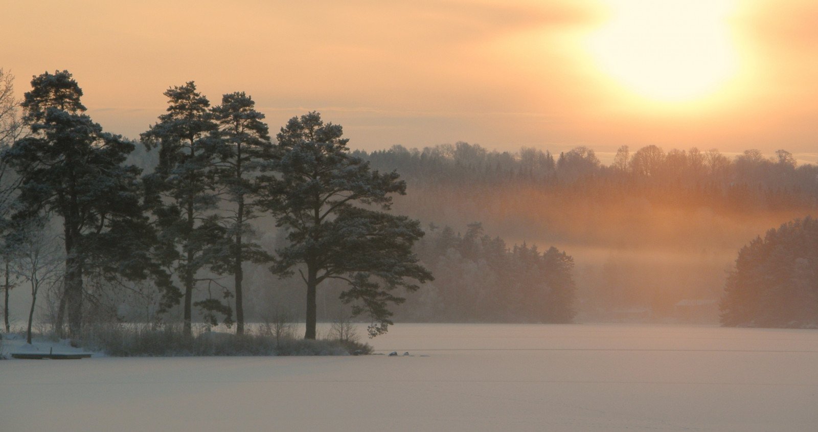 Wallpaper : winter, sunset, Sun, Sol, vinter, midwinter, solnedgang ...