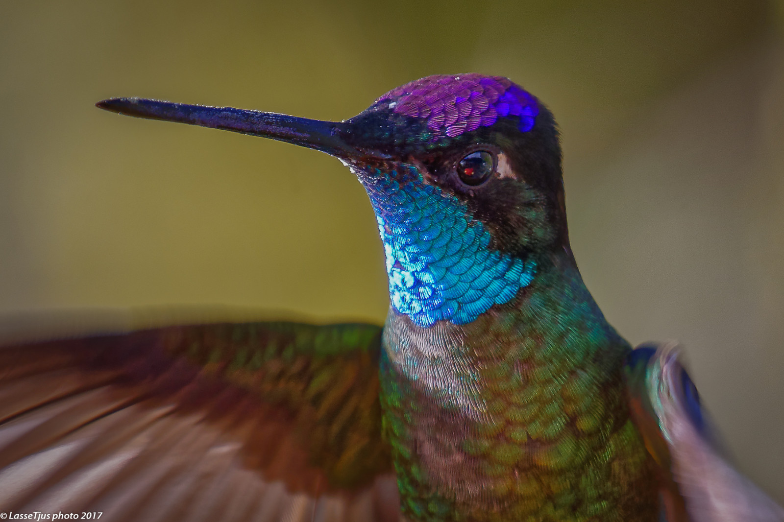 Imagini de fundal : y2017, Costarica, copey, provinciadecartago, cr ...