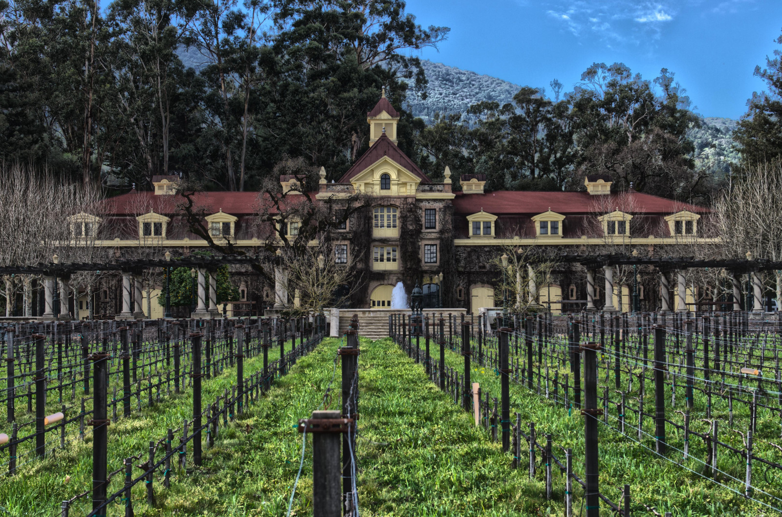 Wallpaper : landmark, estate, mansion, tree, historic site, vineyard ...