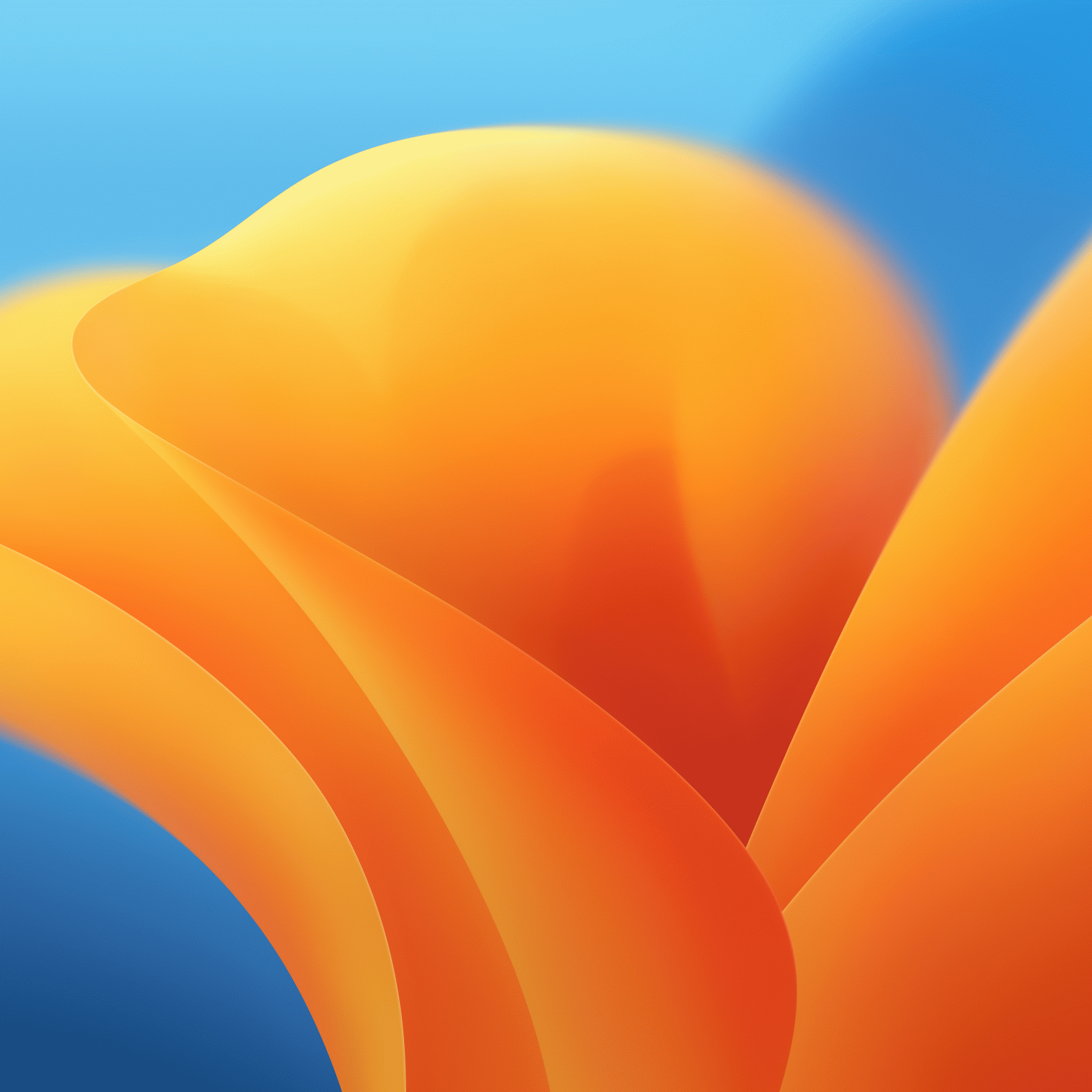 Sfondi : Mac OS X, MacOS Ventura, colorato, sfondo arancione, fiori ...