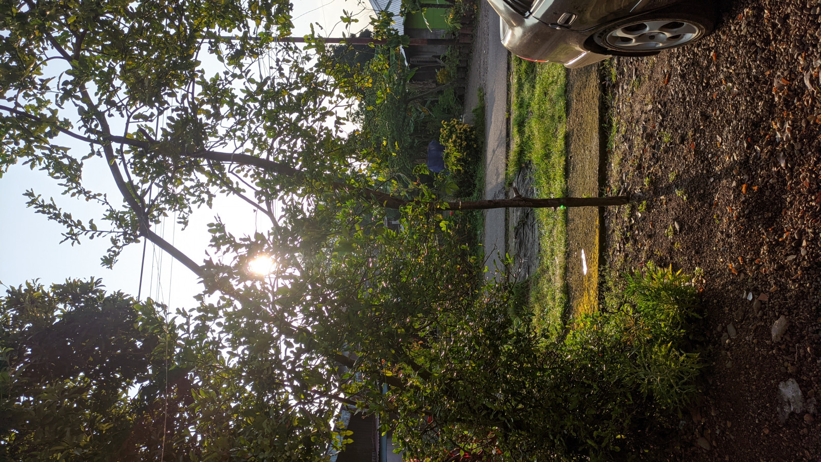 배경 화면 바퀴 낮 하늘 가로등 건물 자동차 타이어 자동차 조명 창문 나무 초목 목재 햇빛 트렁크 생체 작은 가지 선 잔디 우디 식물