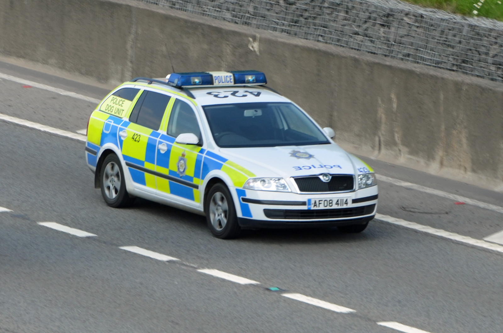 Wallpaper : dog, evo, UK, transport, June, 2013, Octavia, driving, air ...