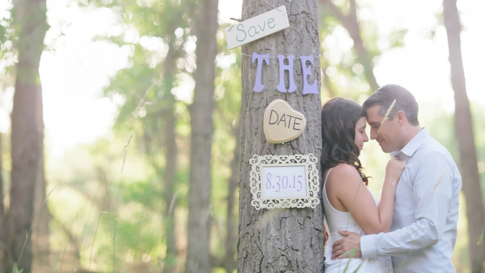 Wallpaper : trees, couple, romance, just married, bride, photograph ...