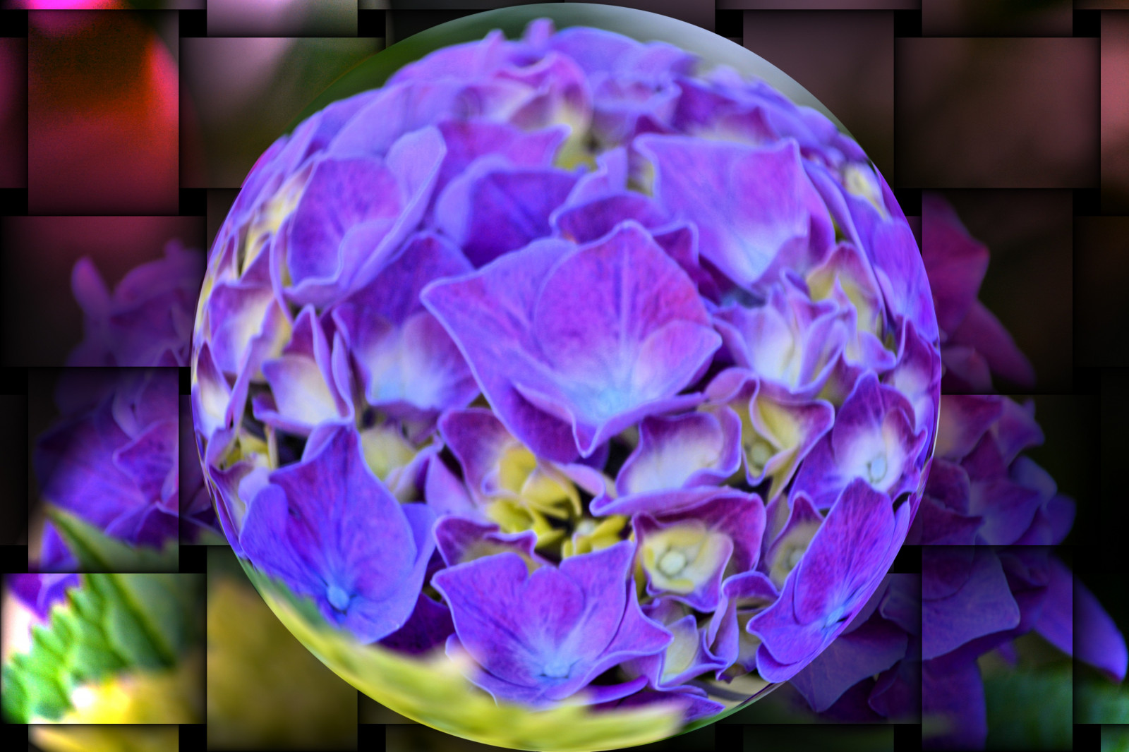 Wallpaper : flowers, ART, pattern, sphere, weave 6000x4000 - - 1122376 ...