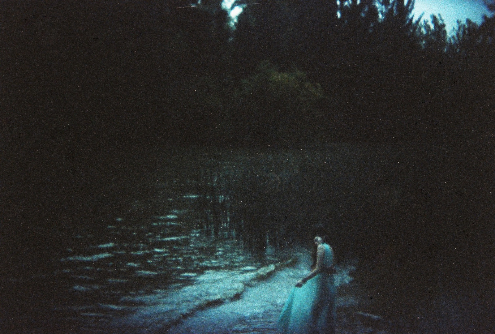 Wallpaper : sunlight, night, reflection, sky, tiger, river, underwater ...