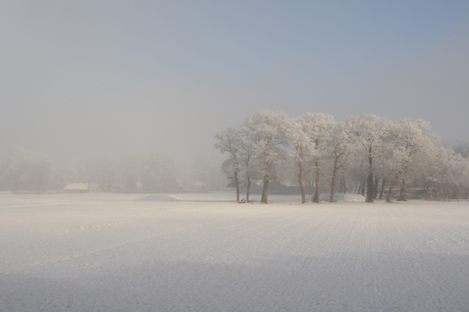 Wallpaper : white, snow, ice, cold, morning, mist, frost, 2015 ...