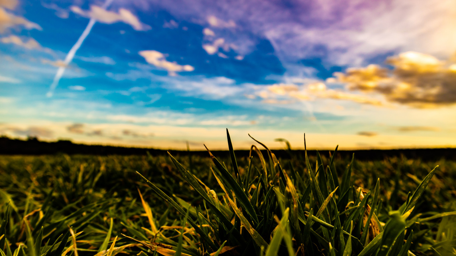 Wallpaper : grass, landscape 5332x3000 - ﾒ乇ﾶﾑひ - 1582911 - HD ...