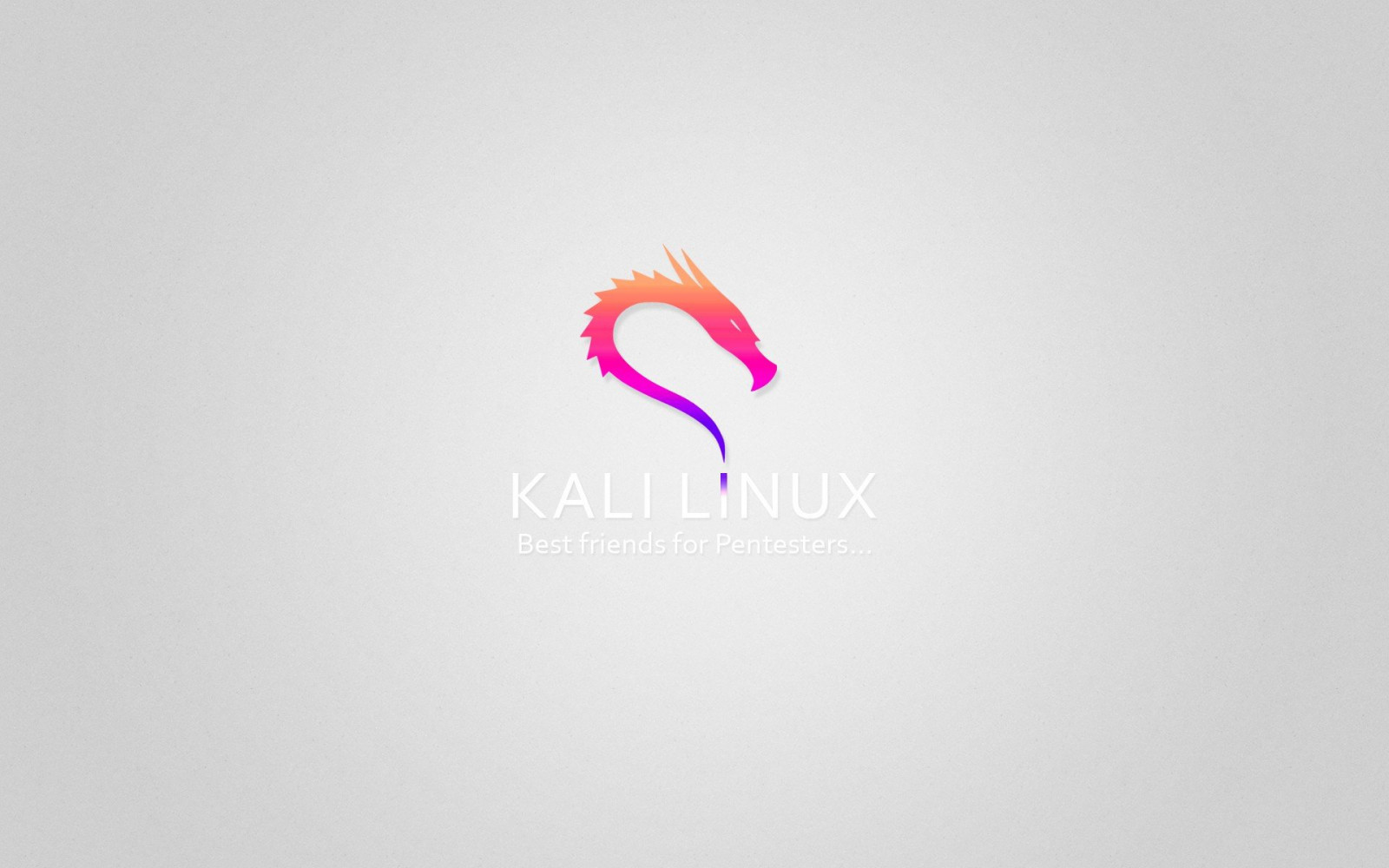 Wallpaper : 1920x1200 px, CG, computer, hackers, hacking, Kali Linux ...
