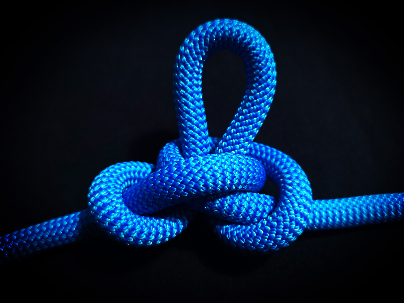 Imagini de fundal : font, gaz, albastru electric, Cefalopod ...