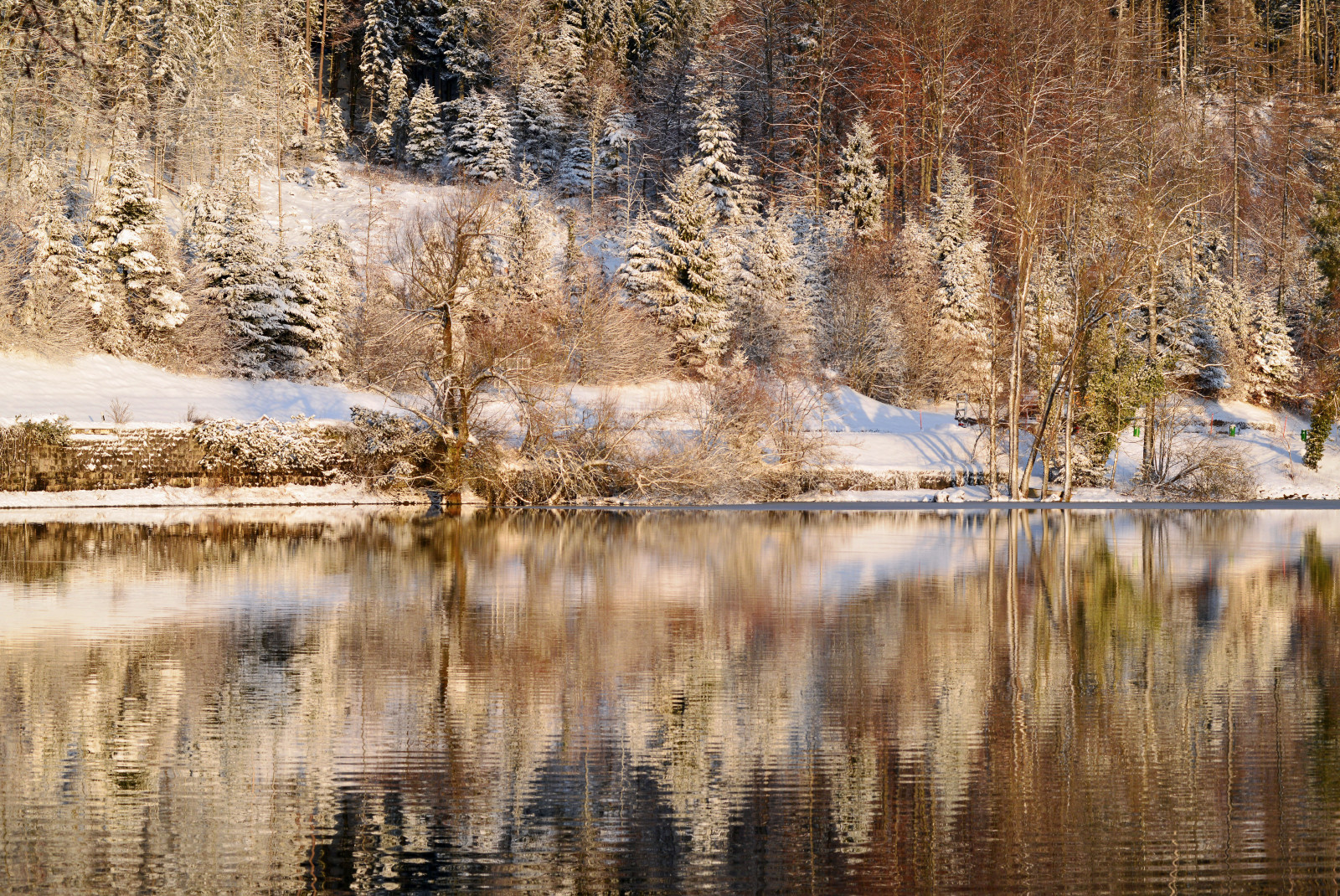 Fond d'écran : paysage, forêt, Lac, eau, la nature, réflexion, neige ...