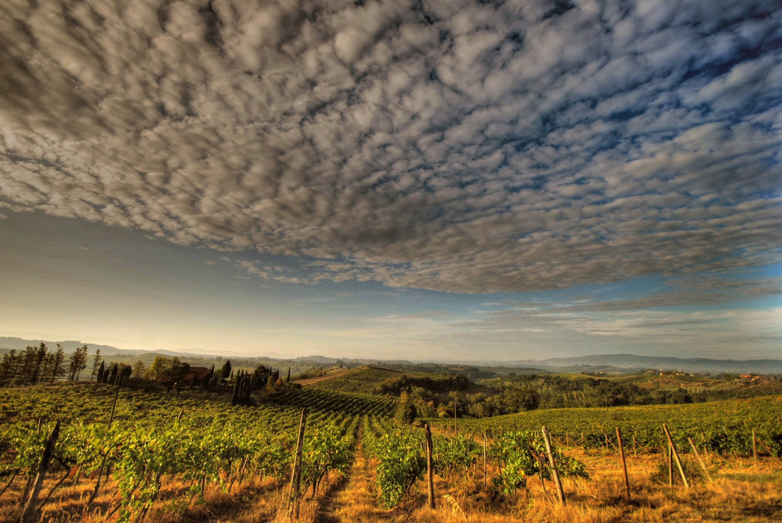 Sfondi : Italia, panorama, nube, paesaggio, Nuvole, vino, nazione ...