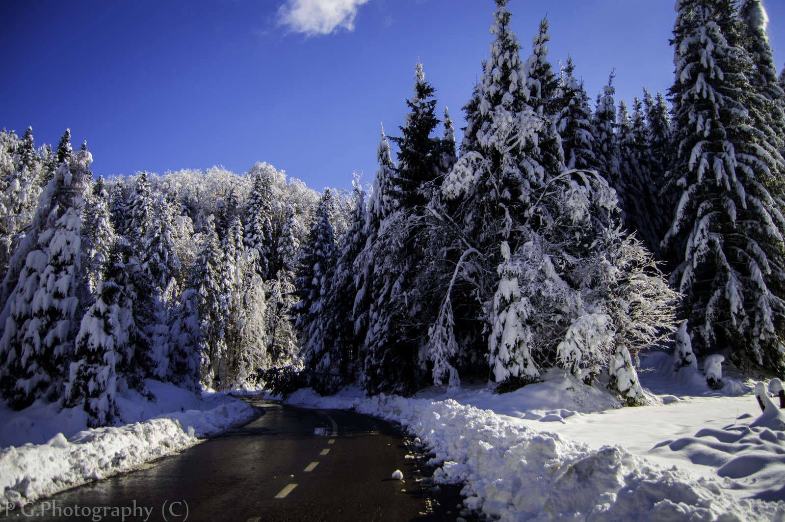 Tapety : zima, sníh, Příroda, nebe, zmrazení, dřevina, divočina ...