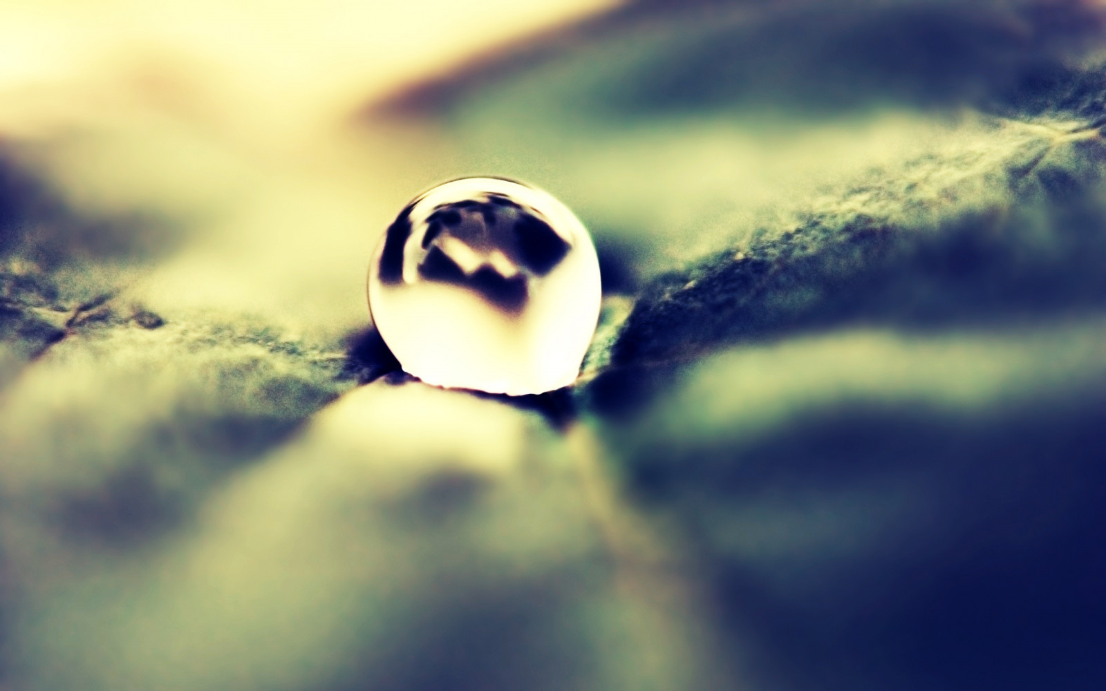Wallpaper : drop, flares, surface, light 2560x1600 - CoolWallpapers ...