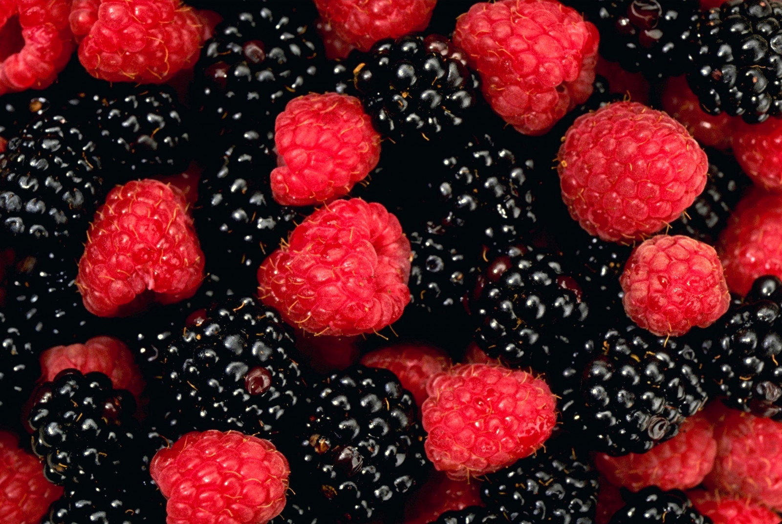 Wallpaper : red, fruit, strawberries, berry, strawberry, blackberry ...