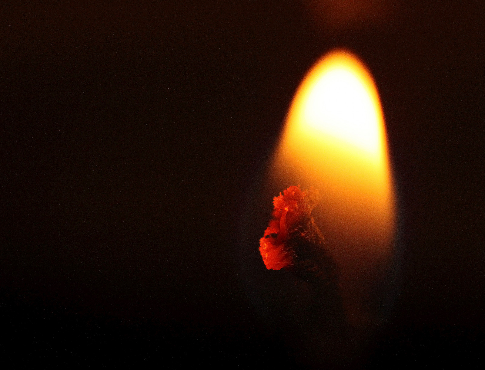 Wallpaper : sunlight, night, space, red, fire, light, lighting, flame ...