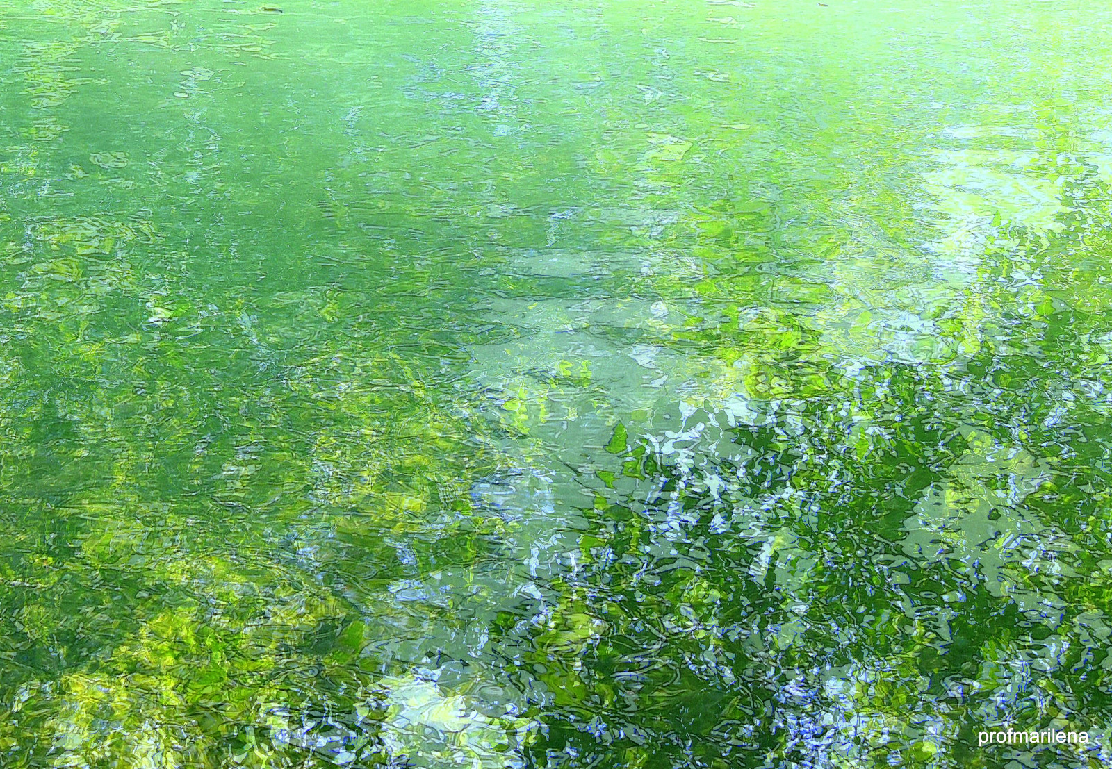 Wallpaper : sunlight, collage, reflection, texture, pond, Bank, swamp ...