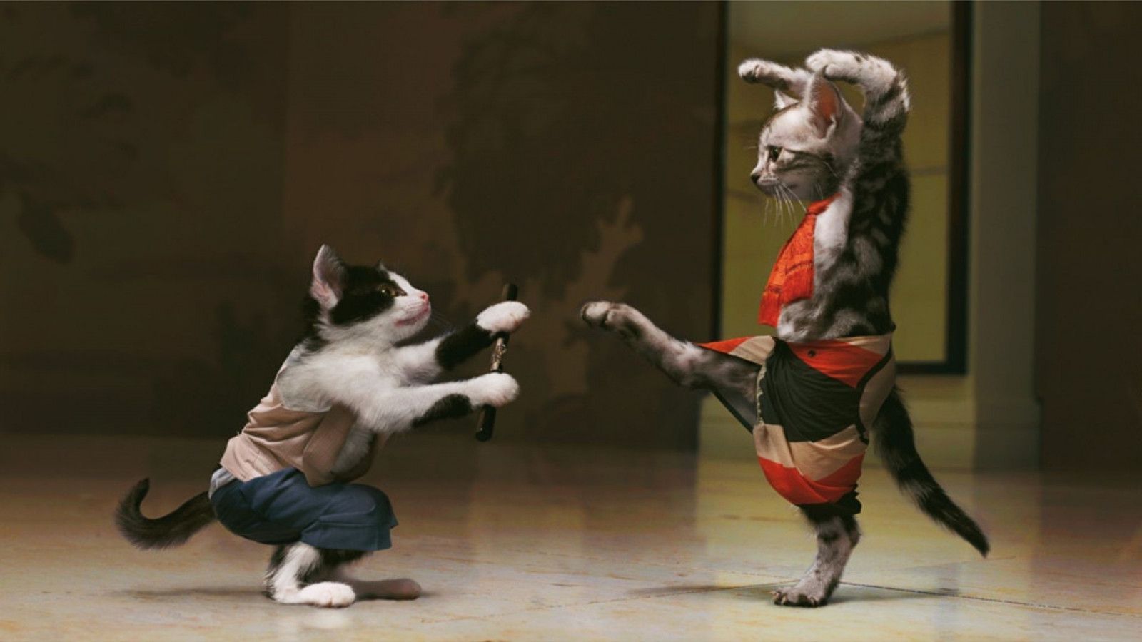 Wallpaper : kucing, ninja, manipulasi Foto, seni pertunjukan 1920x1080 ...