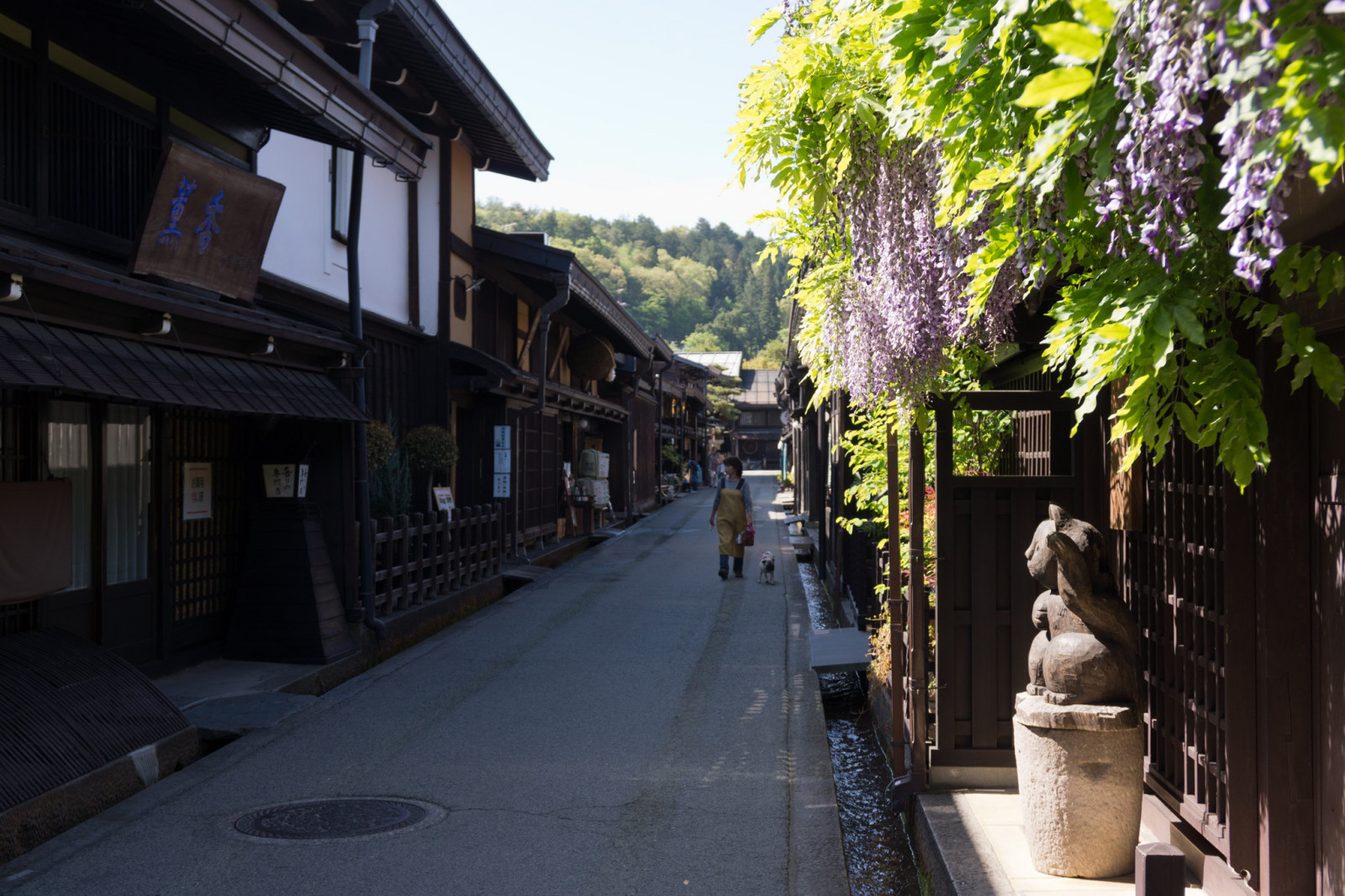 Japan Stray Dogs
