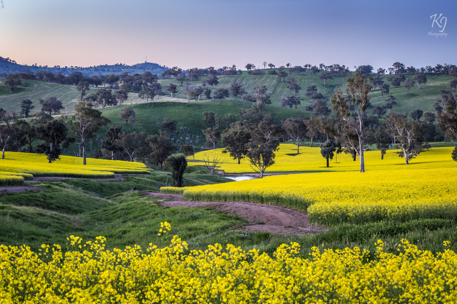 Wallpaper : landscape, nature, grass, sky, field, green, yellow ...