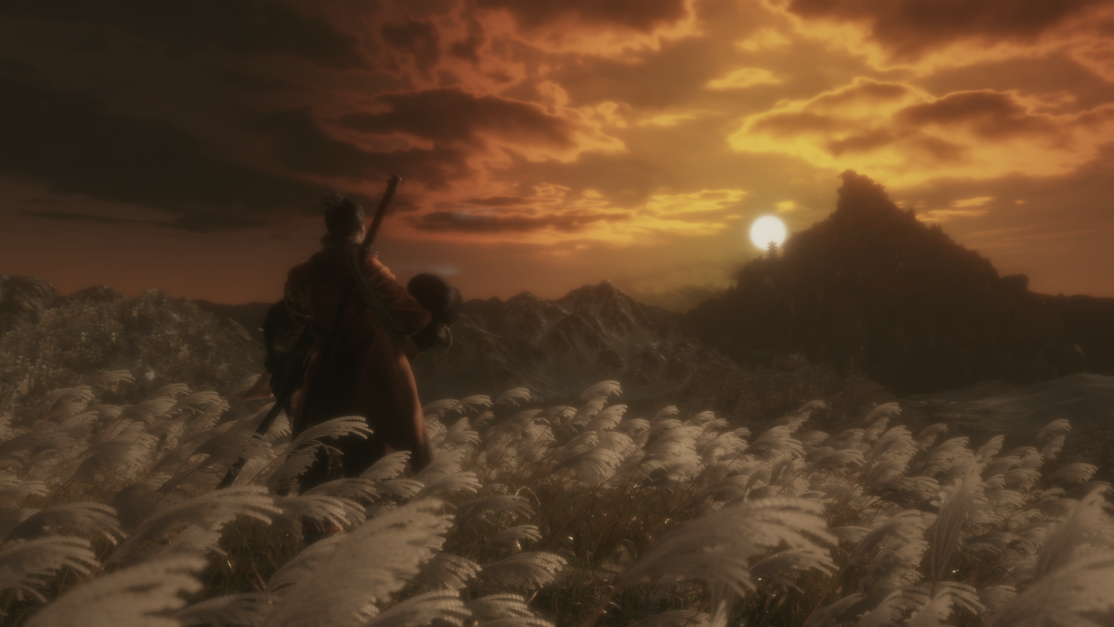 Hình nền : sekiro, Sekiro Shadows Die Twice, Game thủ, Từ phần mềm ...