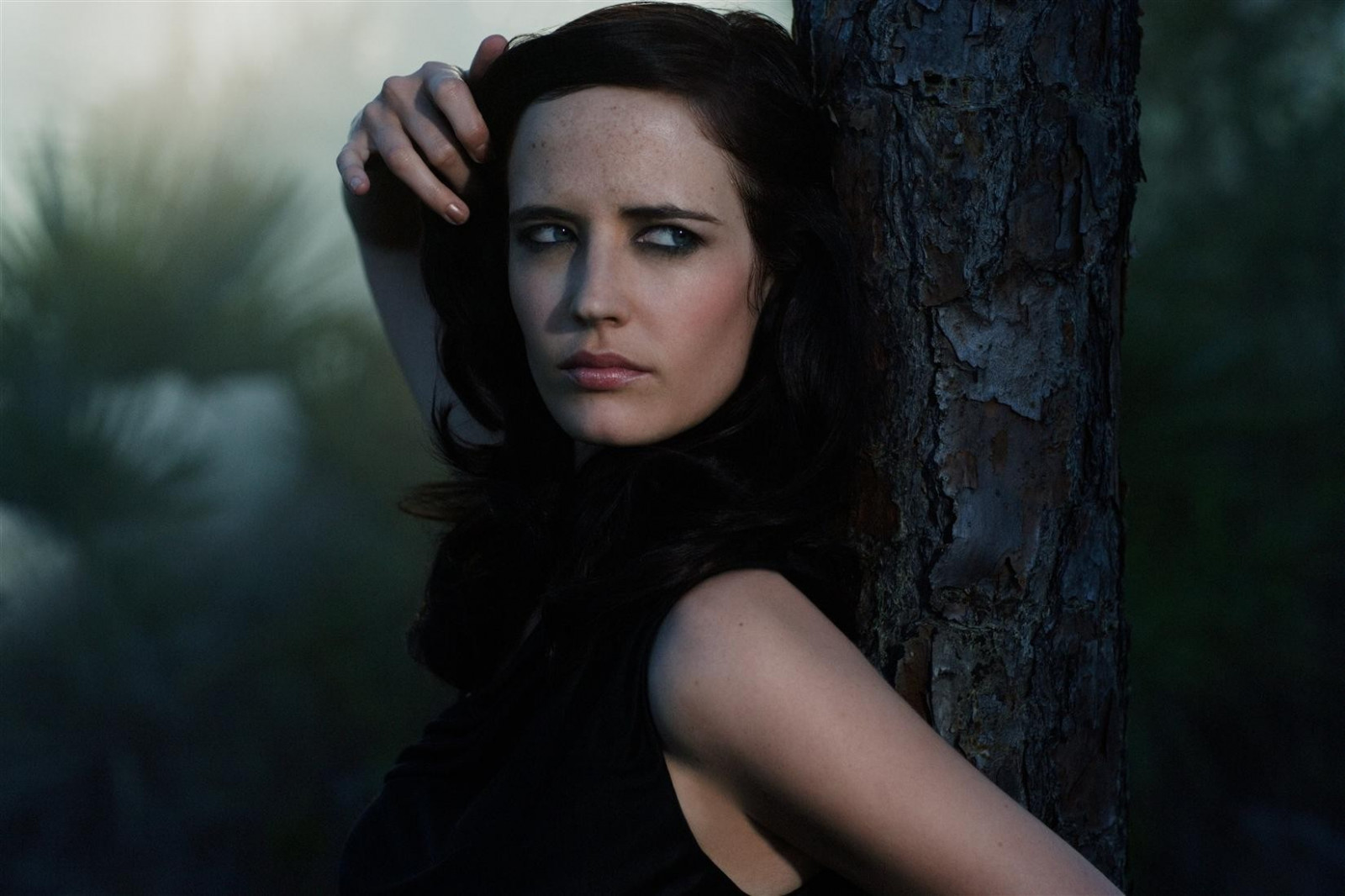 Wallpaper : fashion, Person, Eva Green, girl, beauty, eye, woman, lady ...