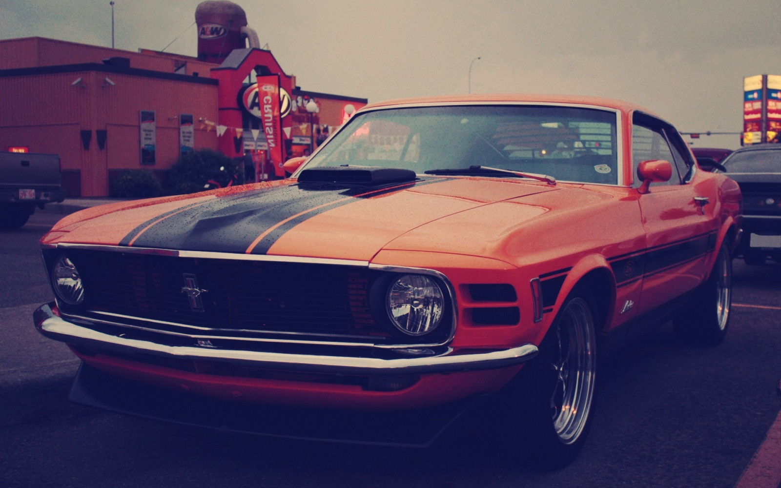Tapety : 1920x1200 px, Ford Mustang, auta svalu 1920x1200 - wallpaperUp ...