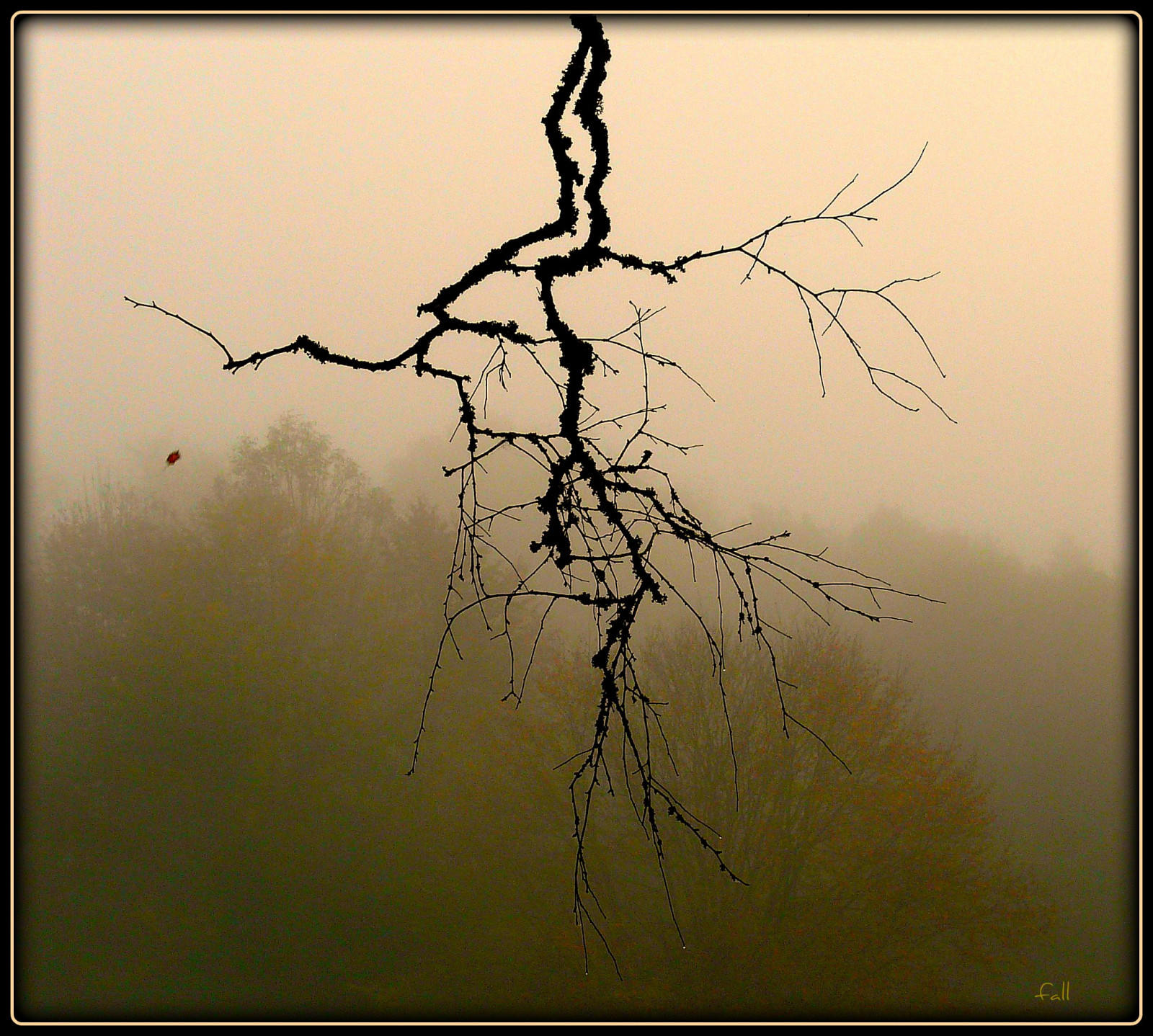 Wallpaper : drawing, painting, fall, nature, wood, branch, Germany ...