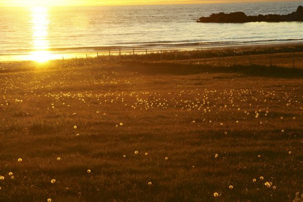 Wallpaper Sunlight Women Blonde Sunset Sea Shore Sand