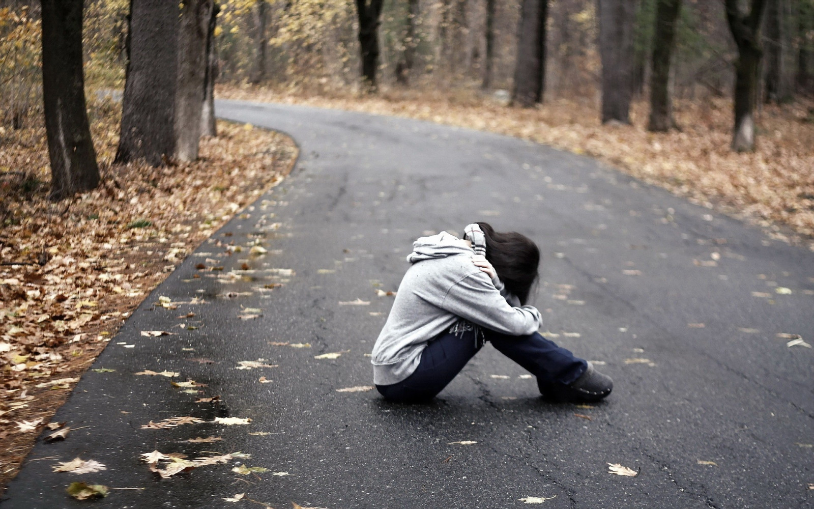 Masaüstü : esmer, park, oturma, yol, üzgün, yürüme, Altyapı, sonbahar ...