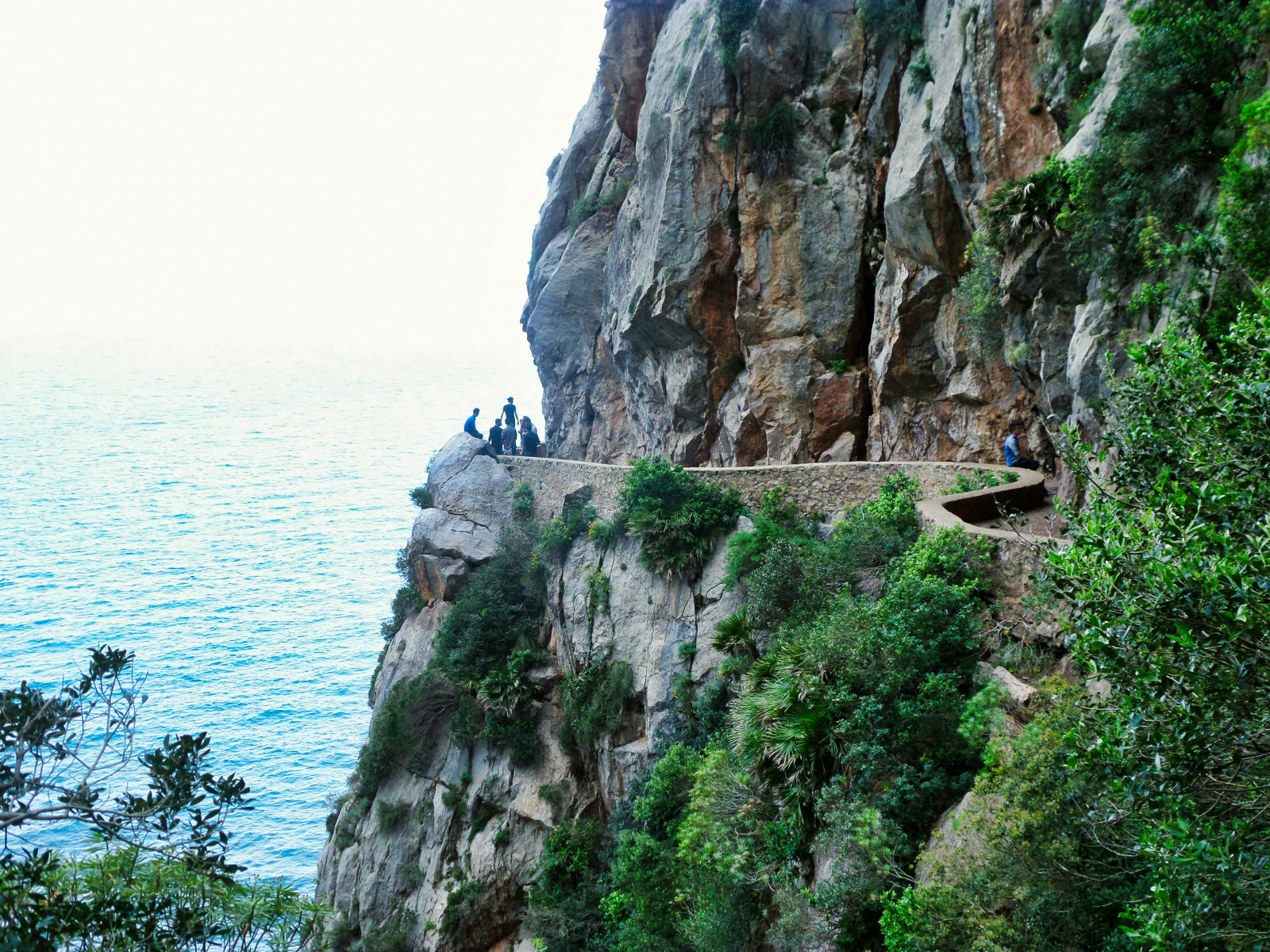 Fond d'écran : la nature, des arbres, paysage, mer, Algérie 4608x3456 ...