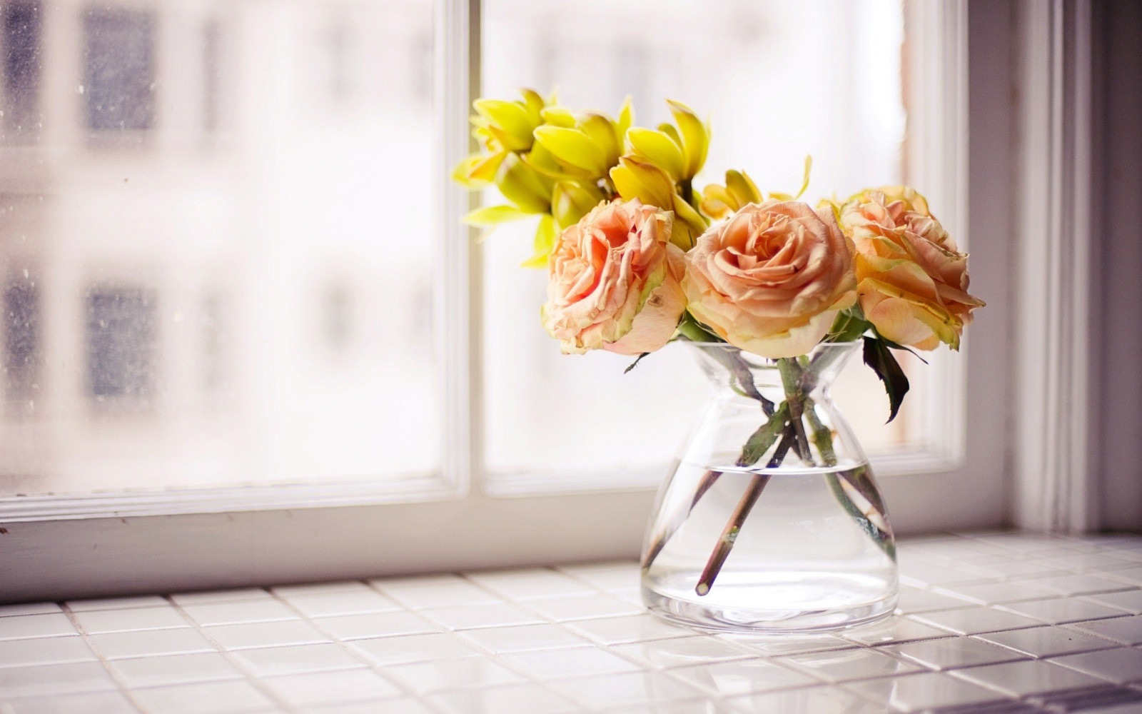 วอลเปเปอร์ : 2560x1600 px, ดอกไม้, ดอกกุหลาบ, แจกัน, windowsill, สี ...
