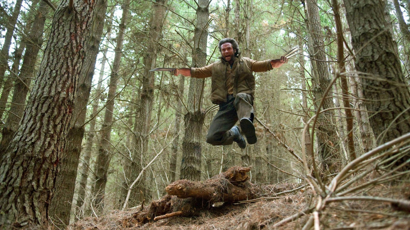 Wallpaper : forest, Wolverine, wildlife, X Men, claws, wilderness, Hugh ...