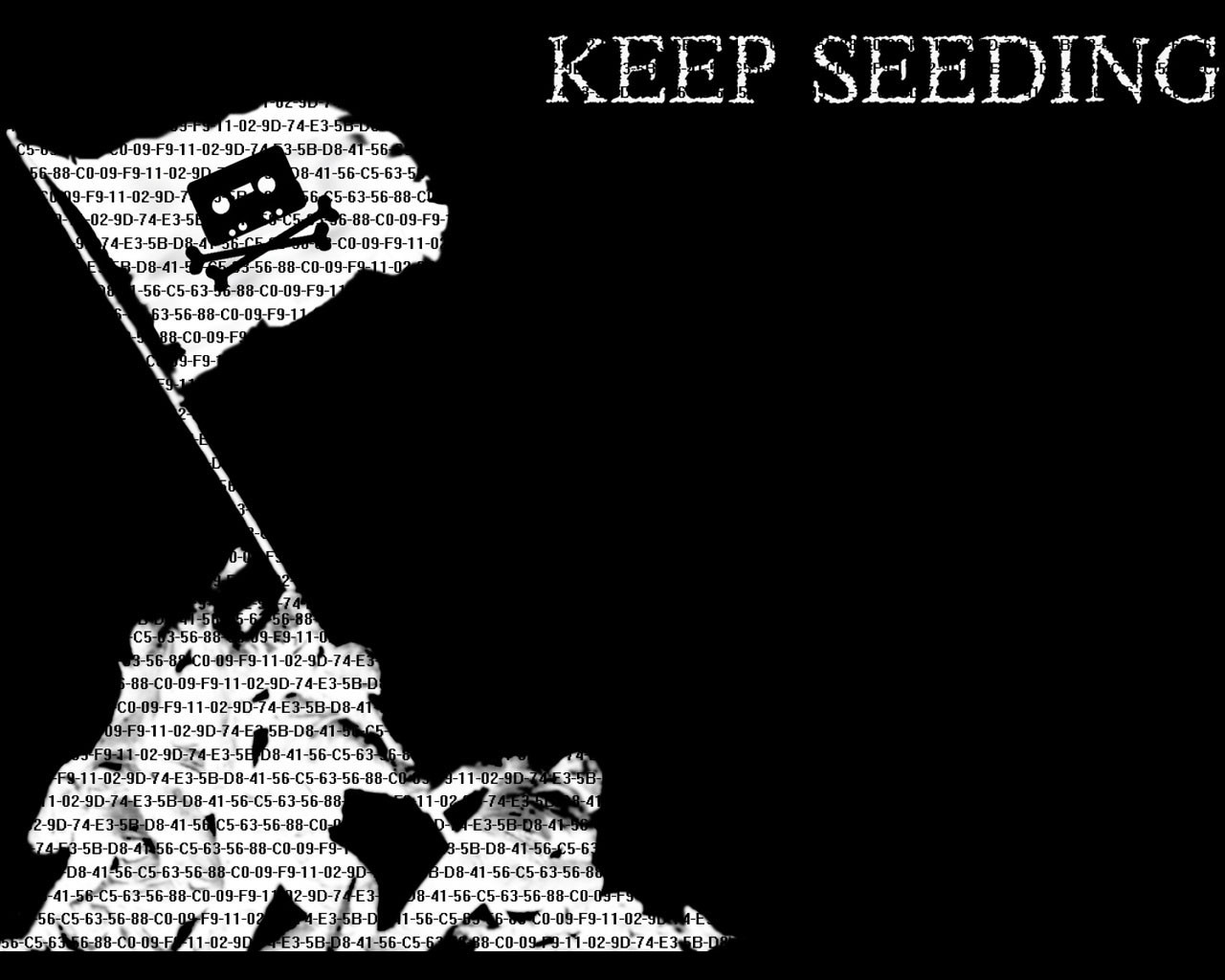 wallpaper-1280x1024-px-piracy-typography-1280x1024-wallpaperup