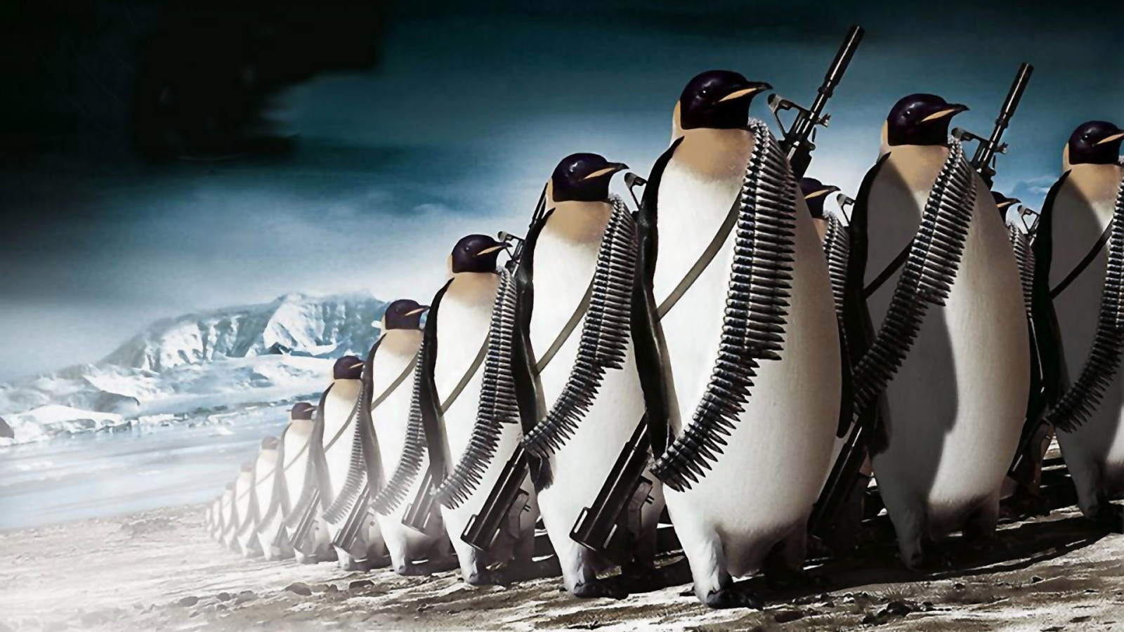 Wallpaper : seni digital, penguin, kelucuan, fotografi, tentara, foto ...