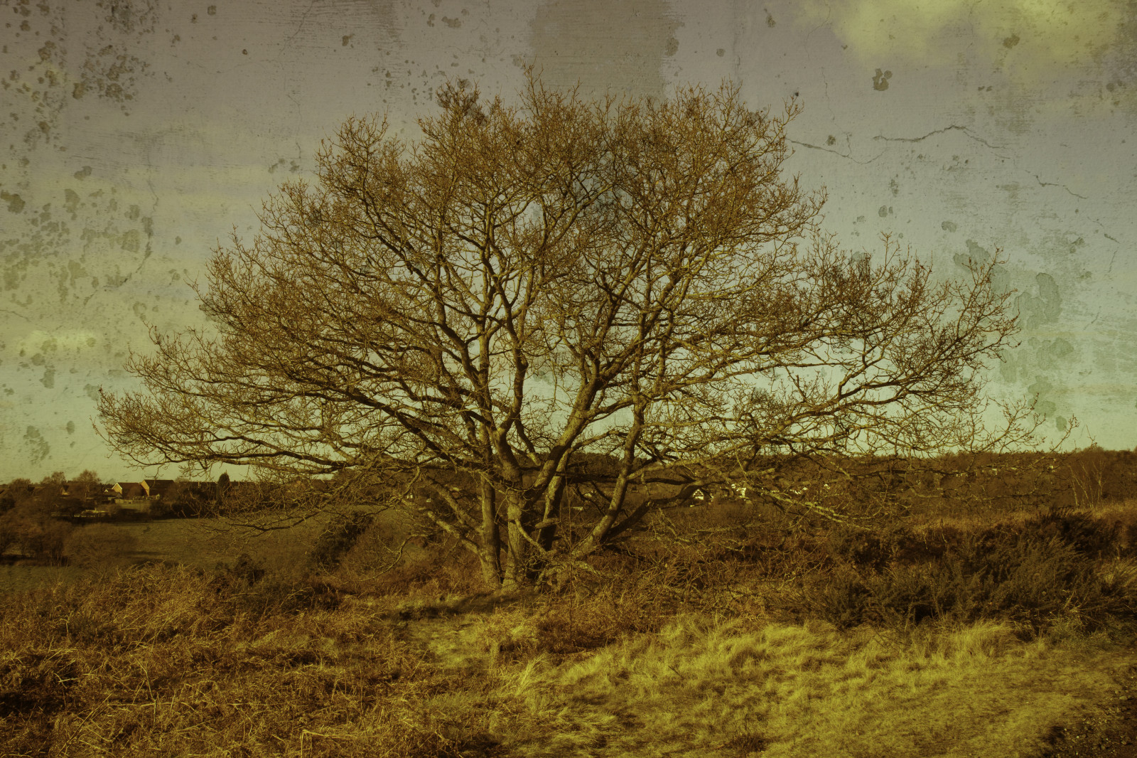 Wallpaper : sunlight, trees, landscape, nature, sky, winter, clouds ...