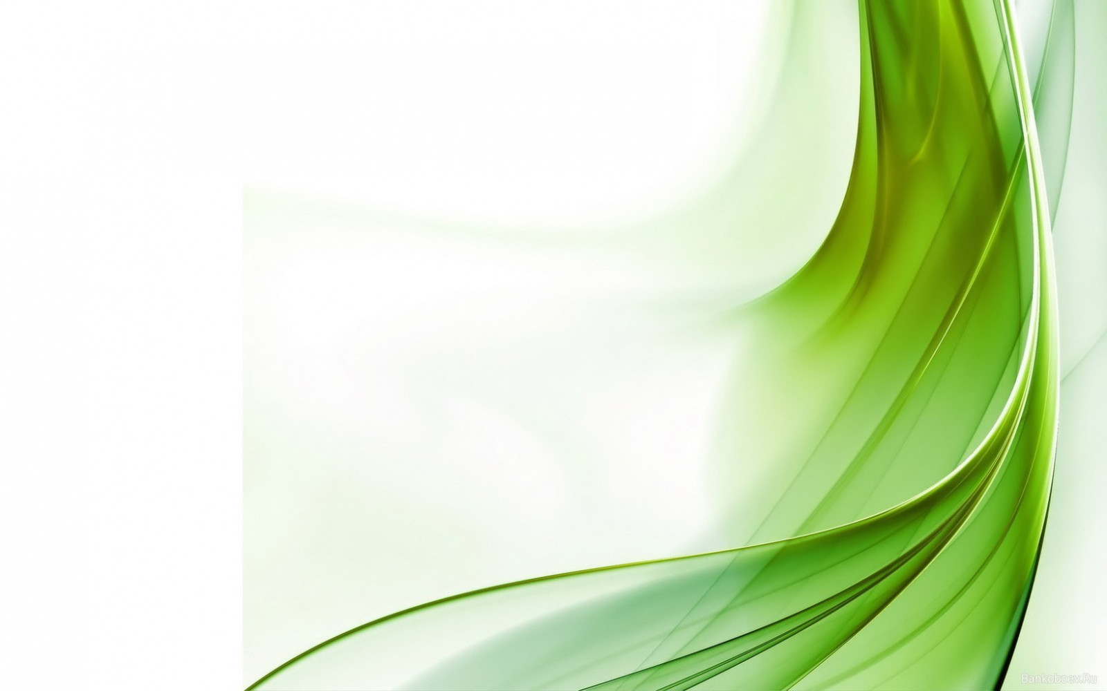 Wallpaper : abstrak, air, rumput, hijau, cair, daun, garis, grafis ...