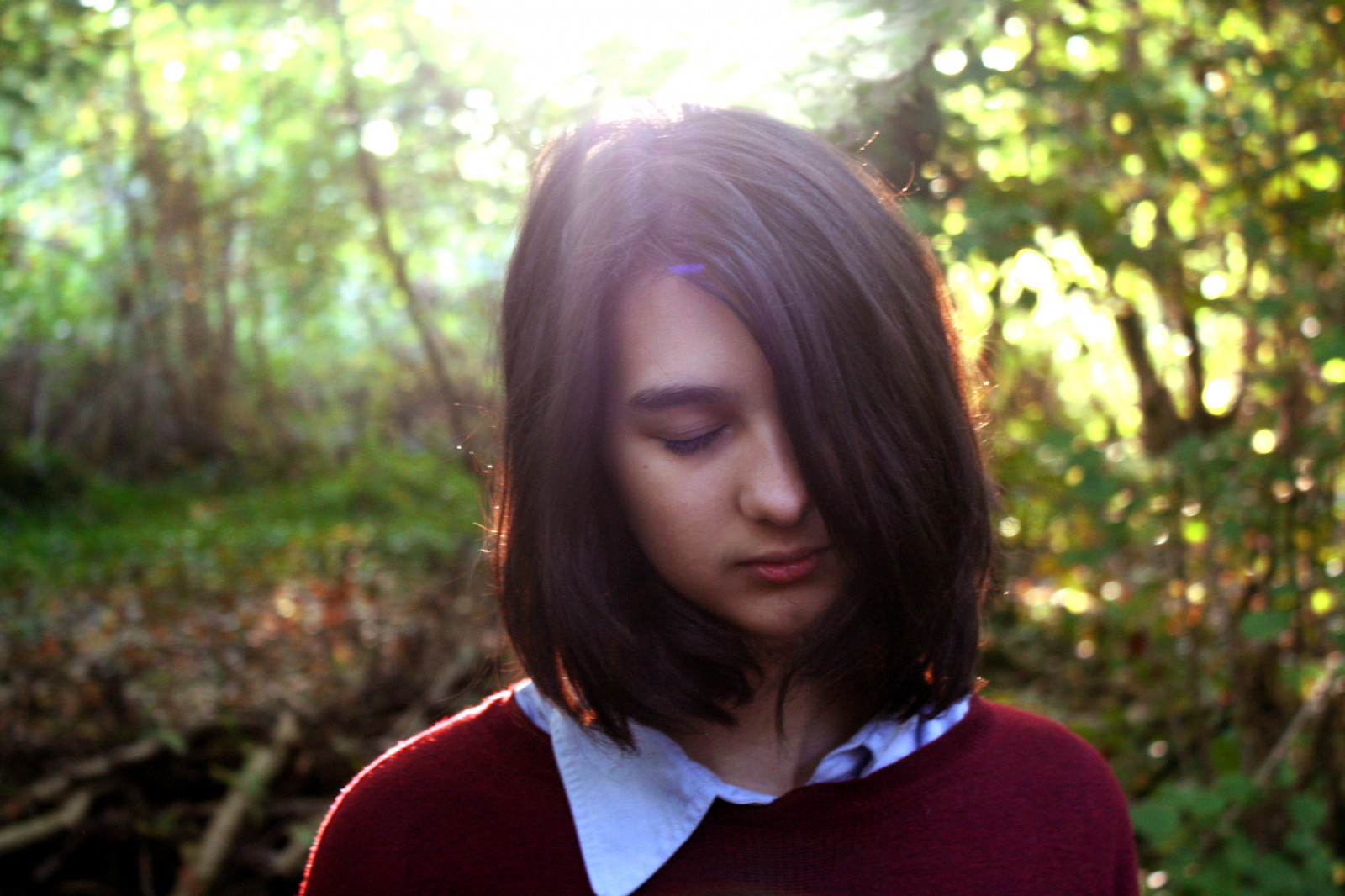 Wallpaper : morning, trees, light, sunset, red, portrait, Sun, green ...