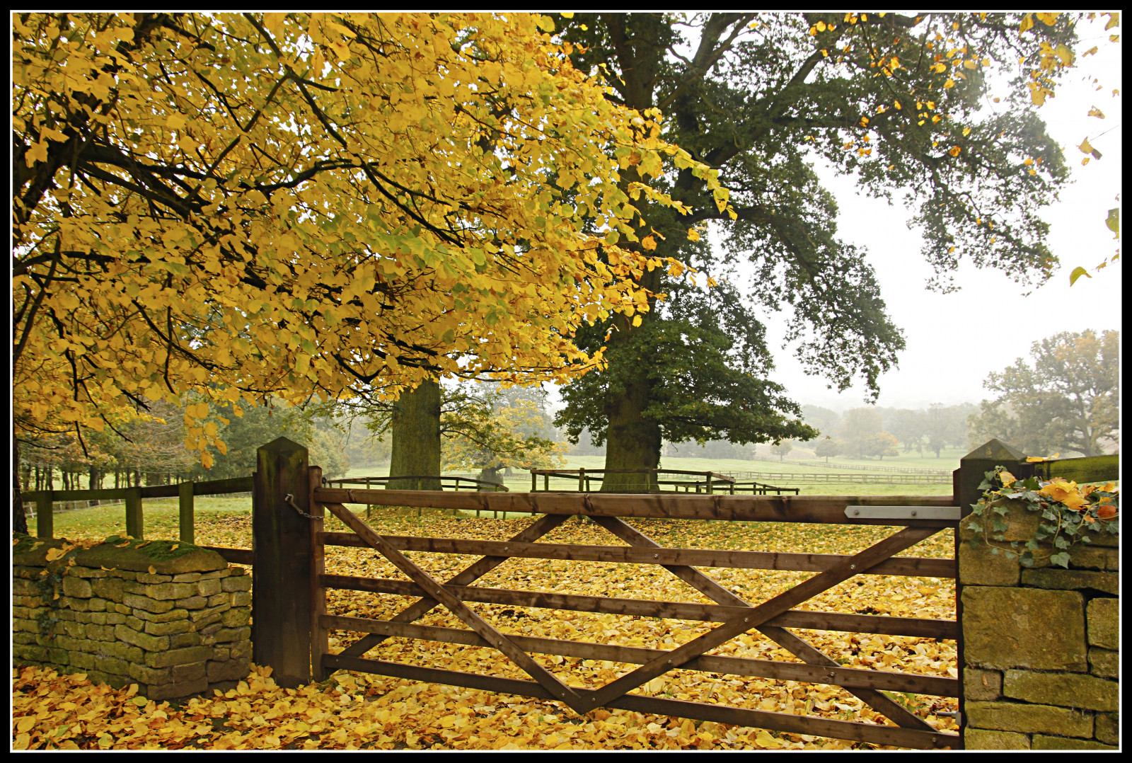 Autumn Country Fence