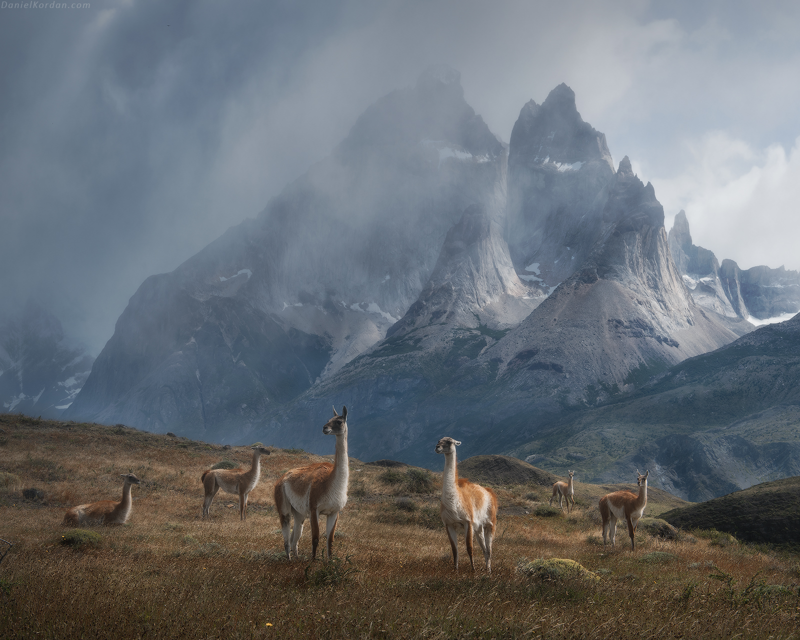 Sfondi : Daniel Kordan, paesaggio, montagne, nuvole, animali, Patagonia ...
