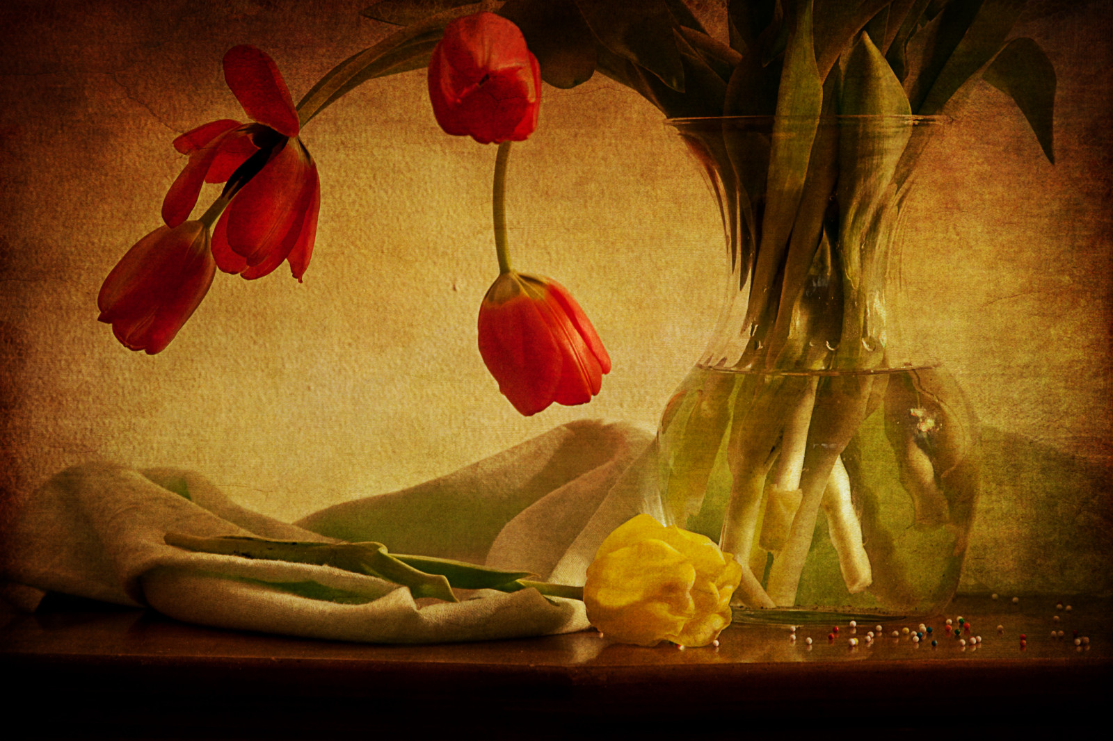 Wallpaper : life, flowers, red, stilllife, green, texture, leaves ...