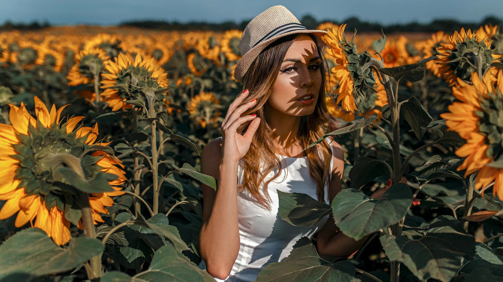 Wallpaper Sunflowers Field Hat Women Outdoors Flowers Plants