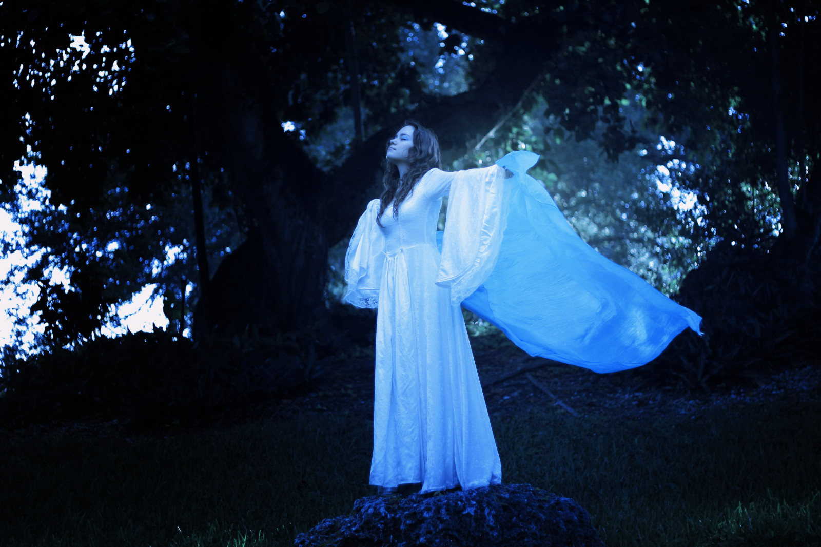 Wallpaper : night, nature, sky, dress, blue, evening, magic, wind ...