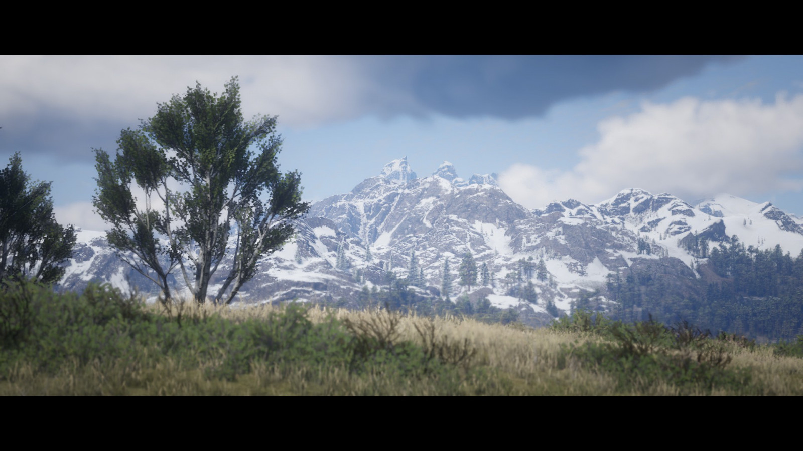 Wallpaper : Rockstar Games, nature, video games, Red Dead Redemption 2 ...