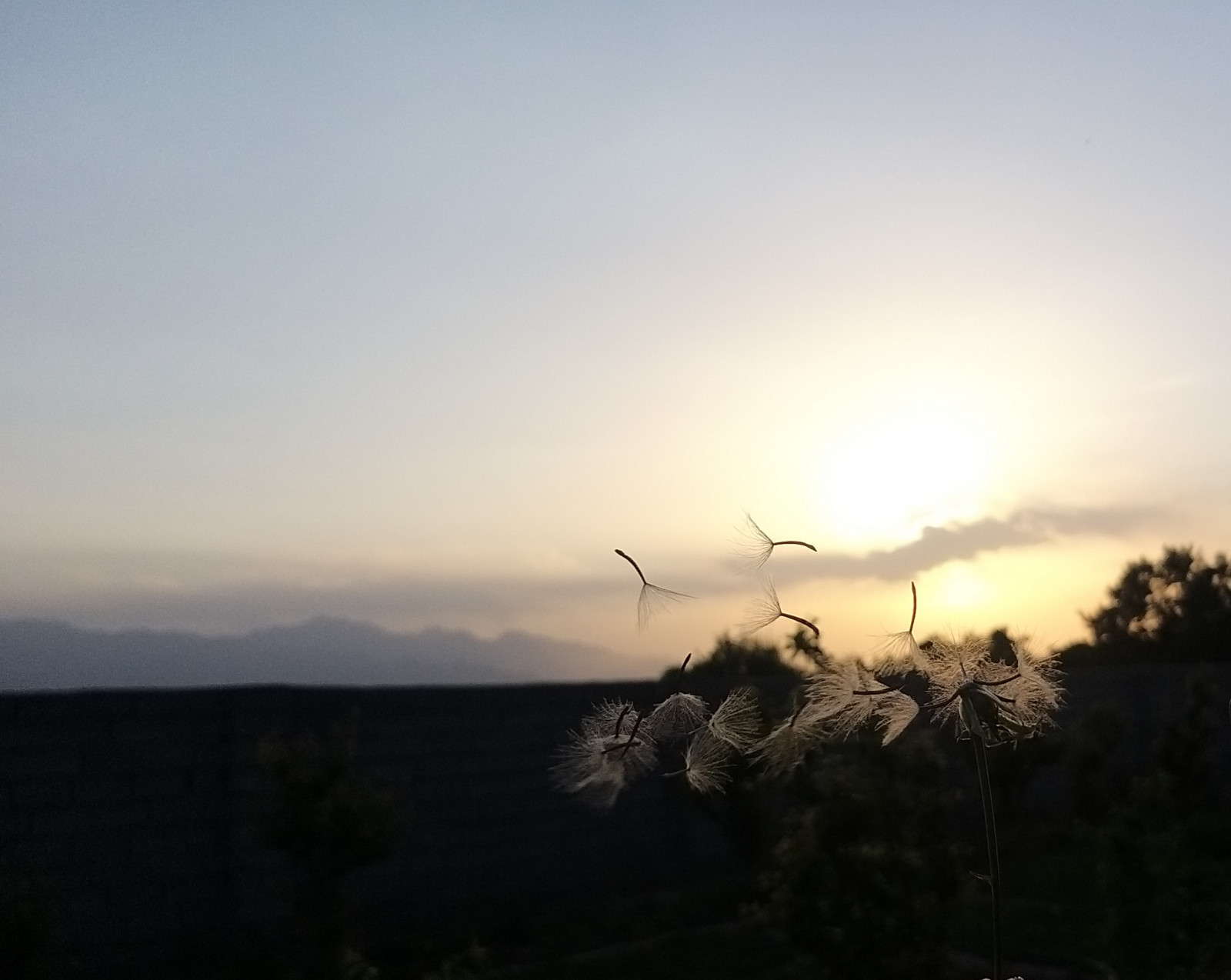 Wallpaper : sunset, natural light 4100x3267 - JustBrian137 - 1883371 ...