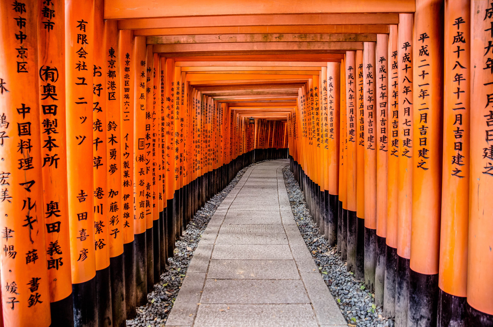 Wallpaper : orange, black, Japan, Canon, Kyoto, shrine, inari, bamboo ...